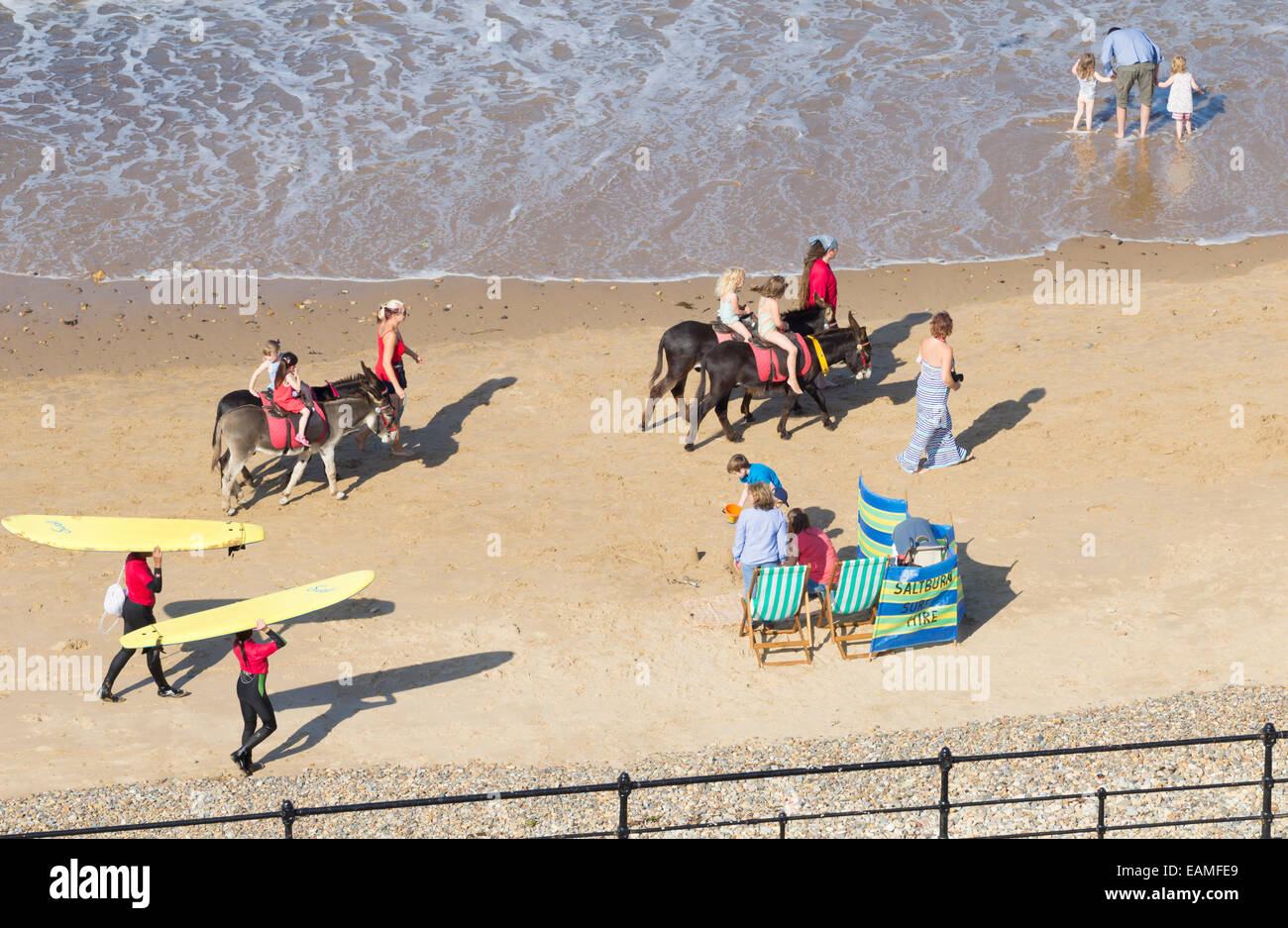 Donkey sea hi-res stock photography and images - Alamy