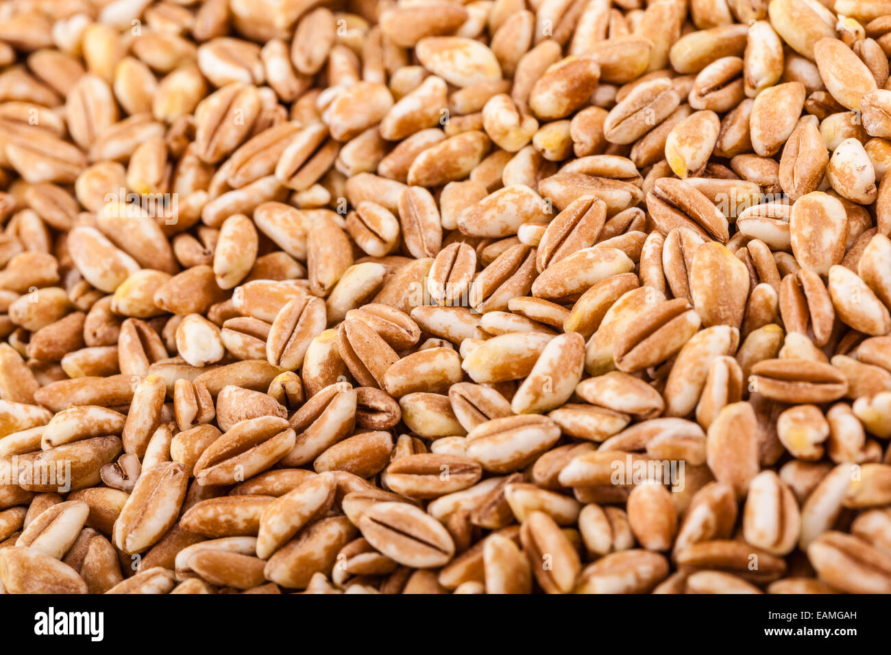 Spelt grains hi-res stock photography and images - Alamy