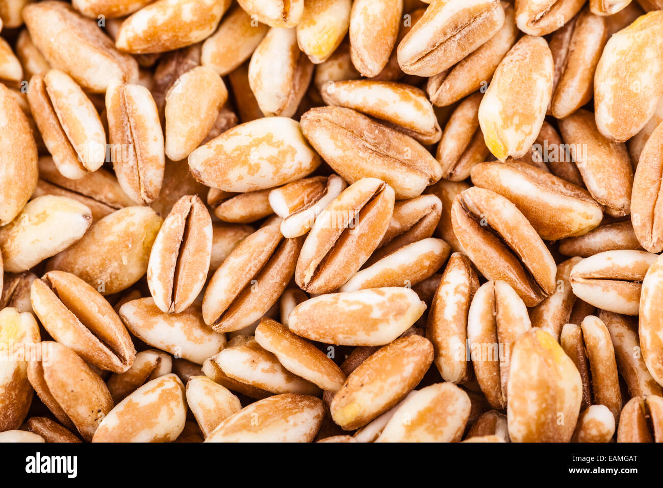 Dinkum wheat hi-res stock photography and images - Alamy