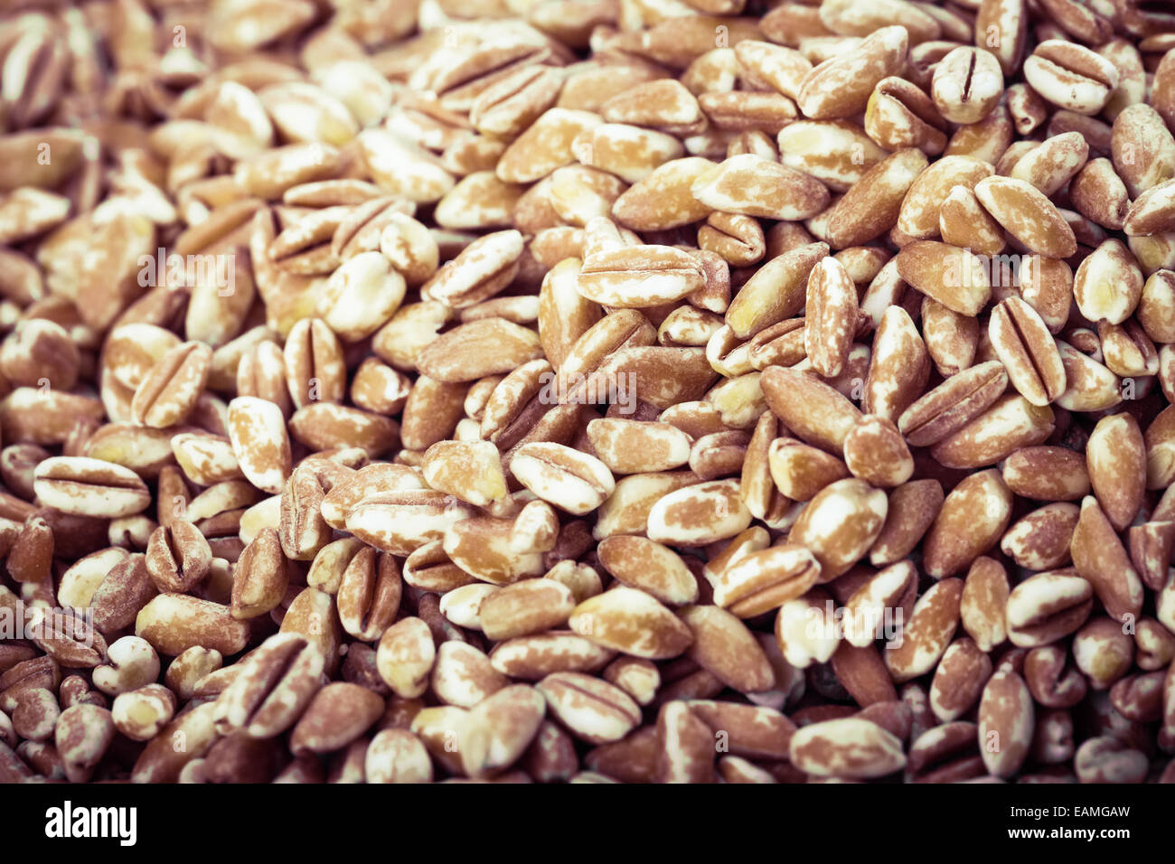 Spelt close up texture hi-res stock photography and images - Alamy