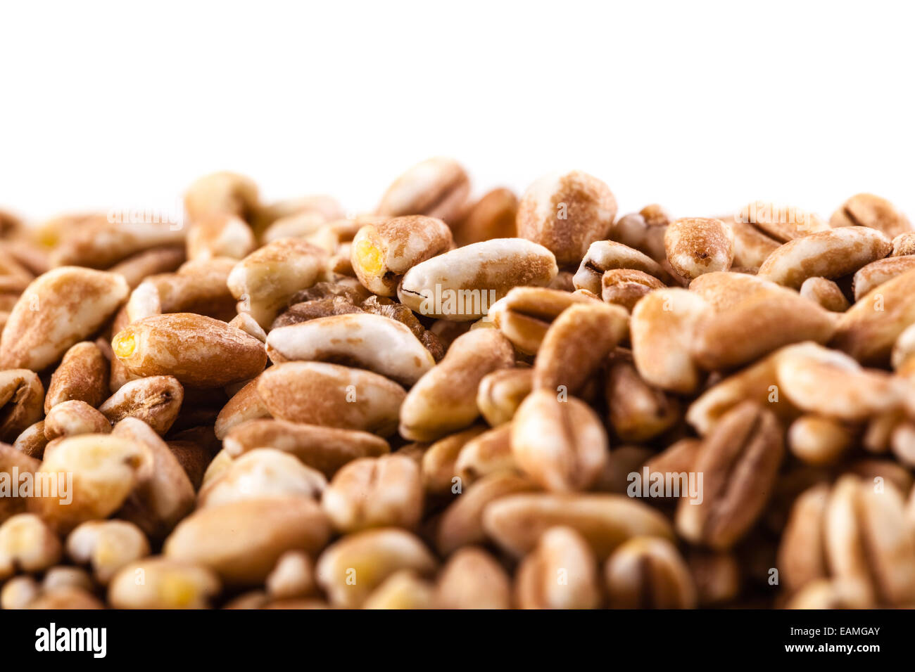 a lot of spelt grains isolated over a white background Stock Photo - Alamy