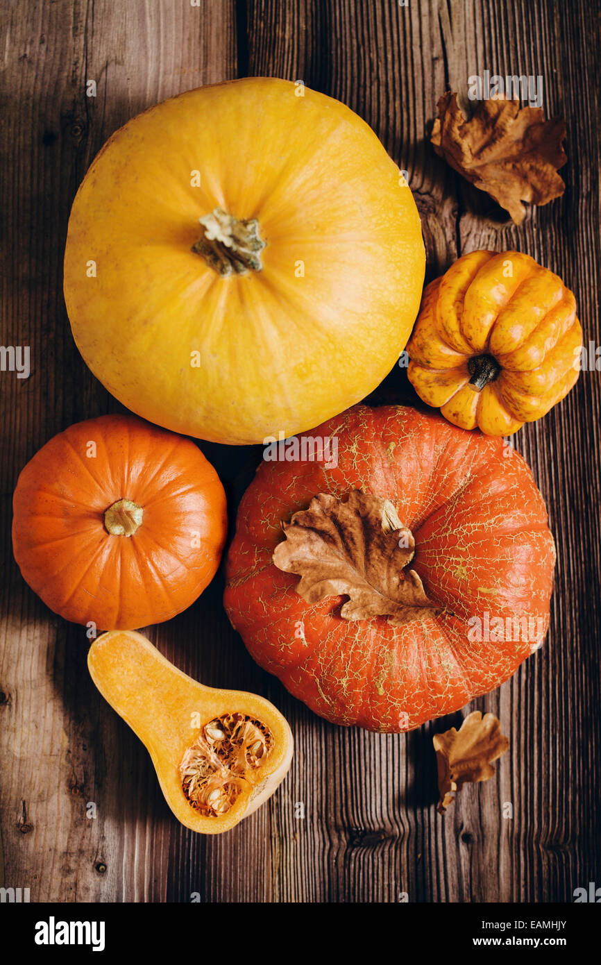 Assorted pumpkins hi-res stock photography and images - Alamy