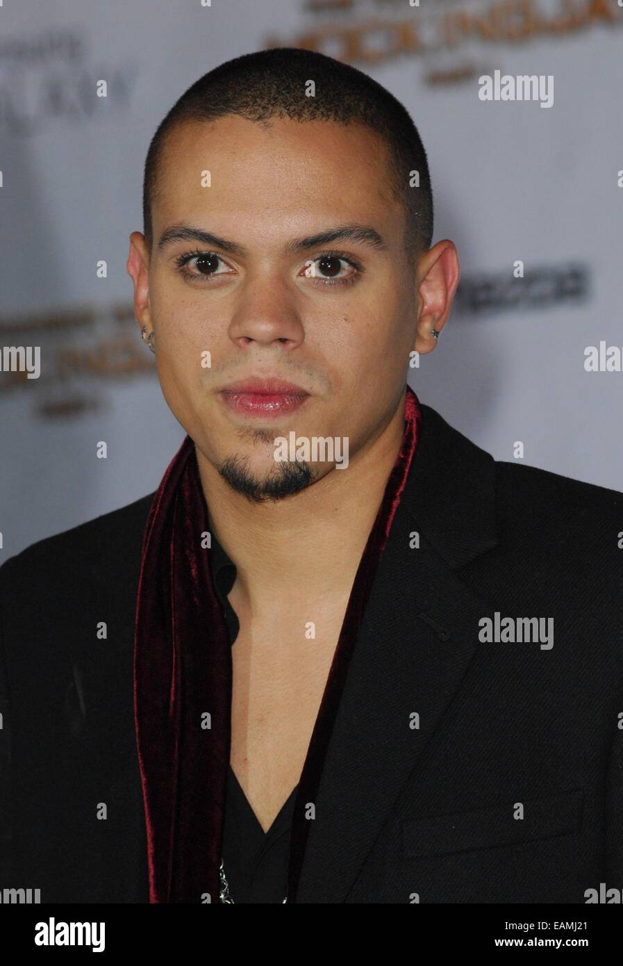 Los Angeles, CA, USA. 17th Nov, 2014. Evan Ross at arrivals for THE ...