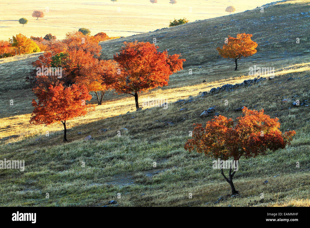 Inner Mongolia scenery Stock Photo - Alamy