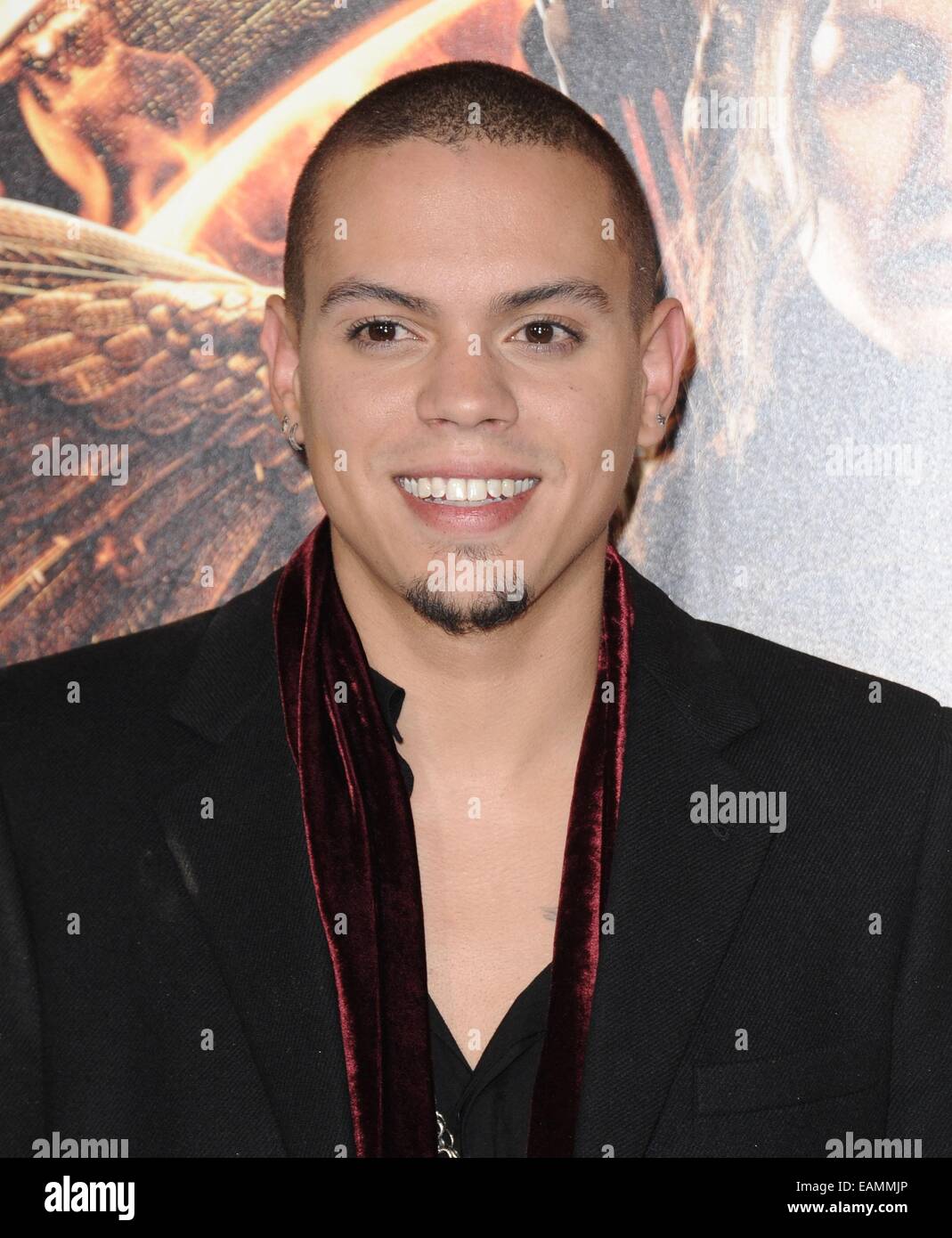 Los Angeles, CA, USA. 17th Nov, 2014. Evan Ross at arrivals for THE ...