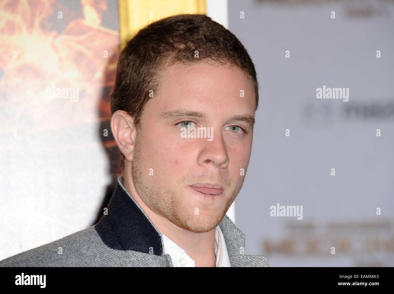 Los Angeles, CA, USA. 17th Nov, 2014. Johnny Weston at arrivals for THE ...