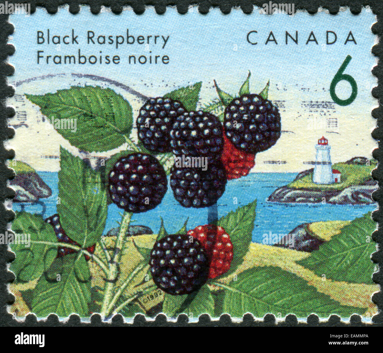 CANADA - CIRCA 1992: Postage stamp printed in Canada, shows Black ...