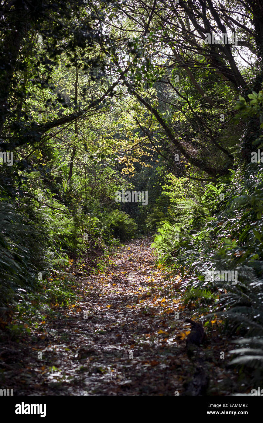 Its journey through devon hi-res stock photography and images - Alamy