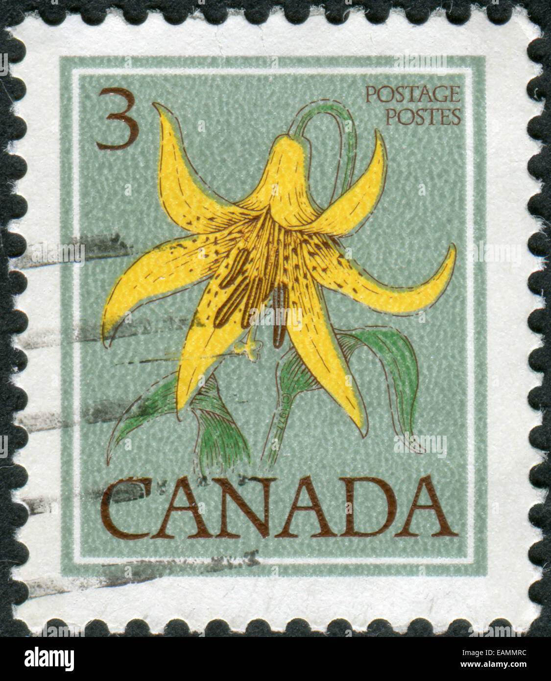 CANADA - CIRCA 1977: Postage stamp printed in Canada shows flower ...