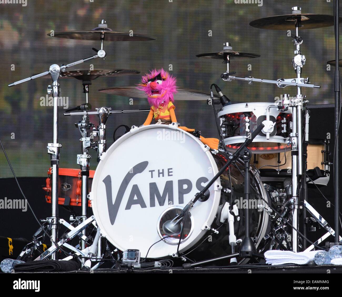 Muppets Animal Drummer Wallpaper