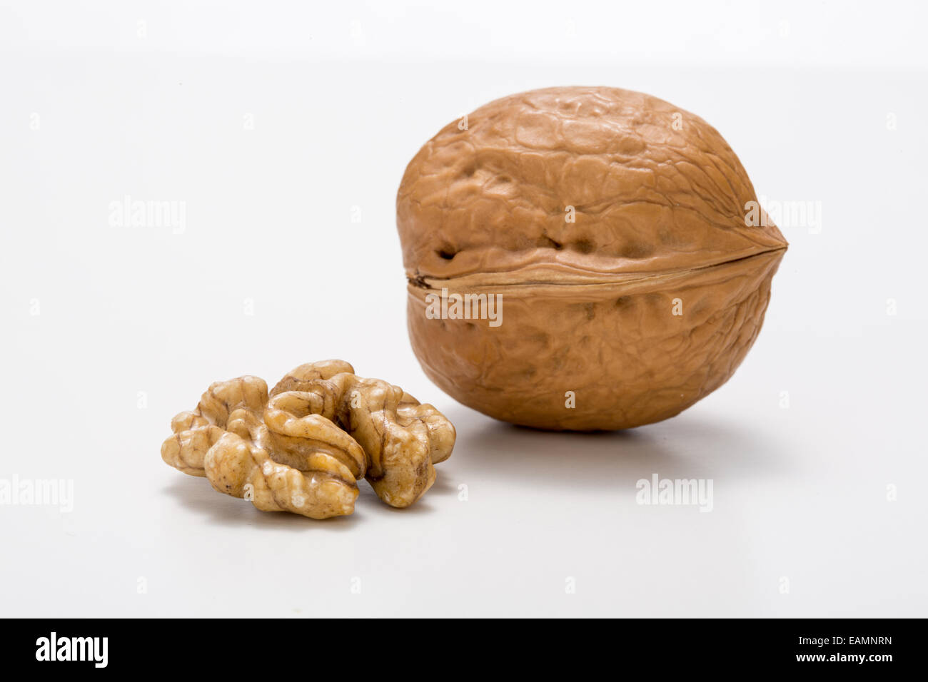 Well nut hi-res stock photography and images - Alamy