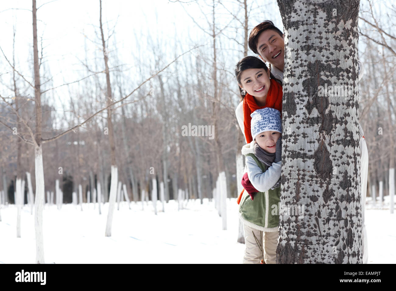 A family of three playing in the snow Stock Photo - Alamy