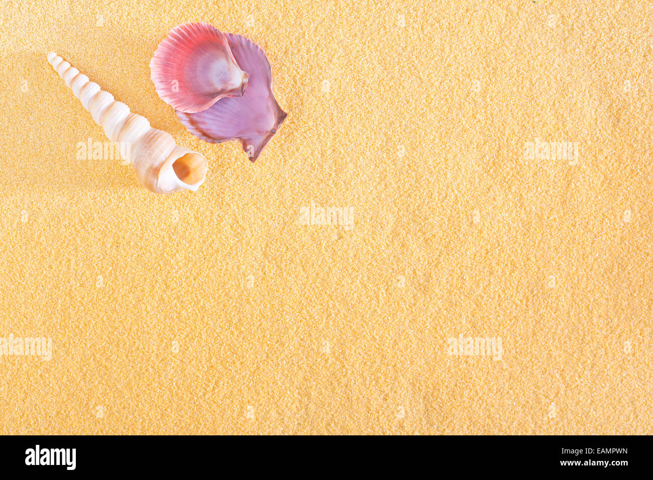 yellow sand, shells on the yellow sand Stock Photo - Alamy