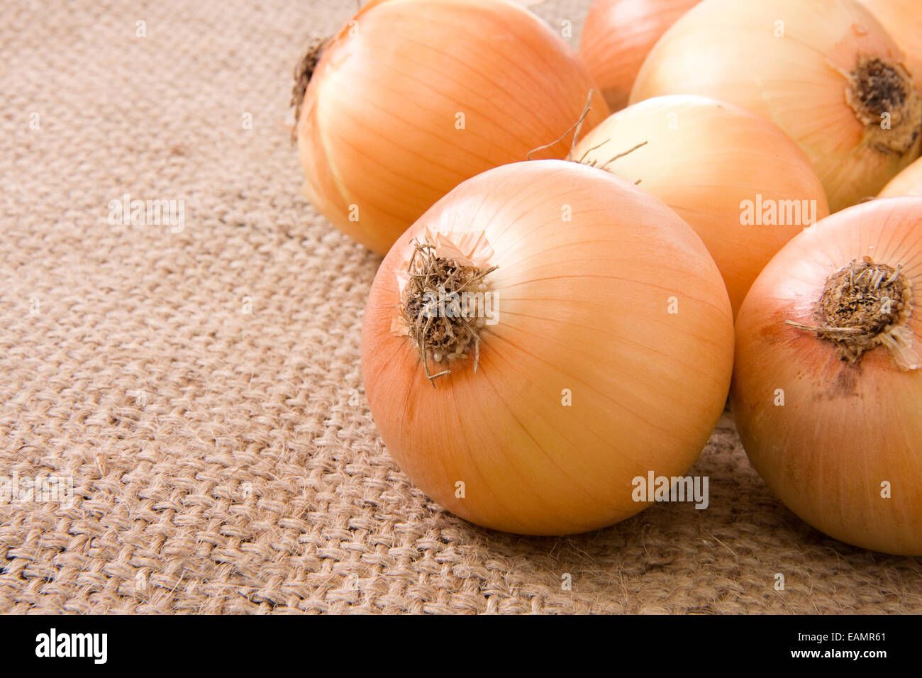 onion on sack background material Stock Photo - Alamy