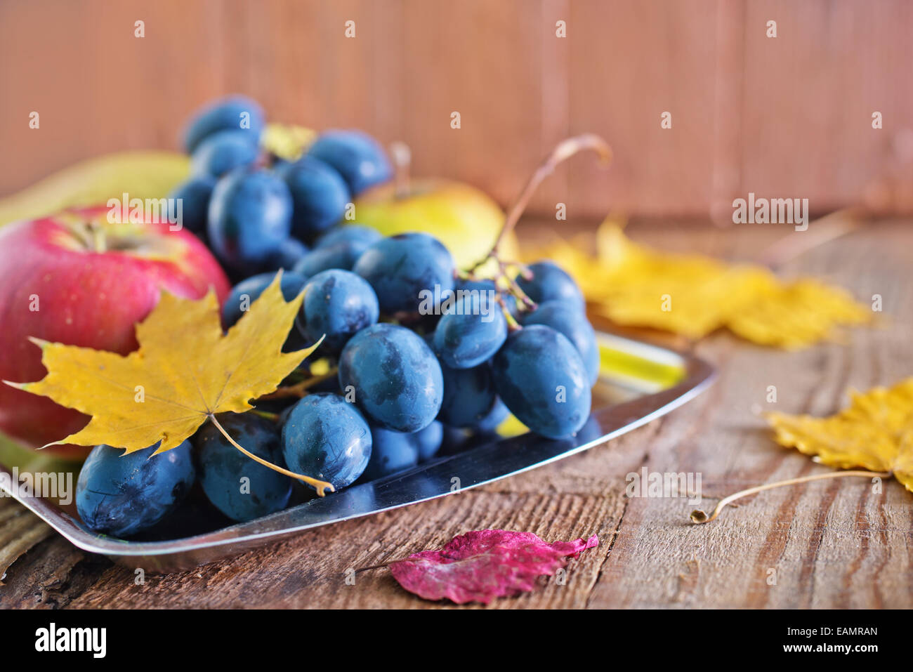 autumn harvest on the metal tfay and on a table Stock Photo - Alamy