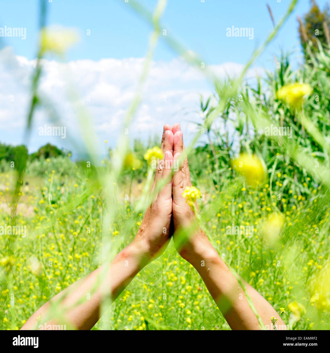 someone meditating with his hands in prayer mudra in a spring field ...