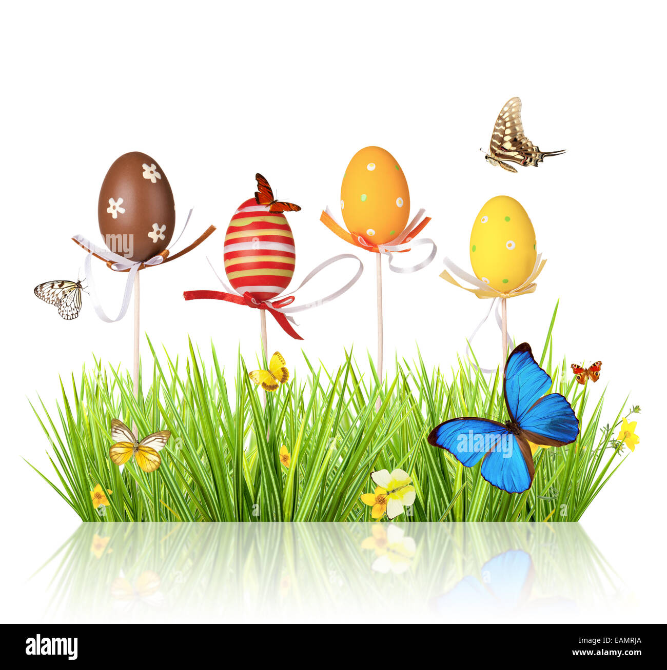 Butterfly eggs grass Cut Out Stock Images & Pictures - Alamy