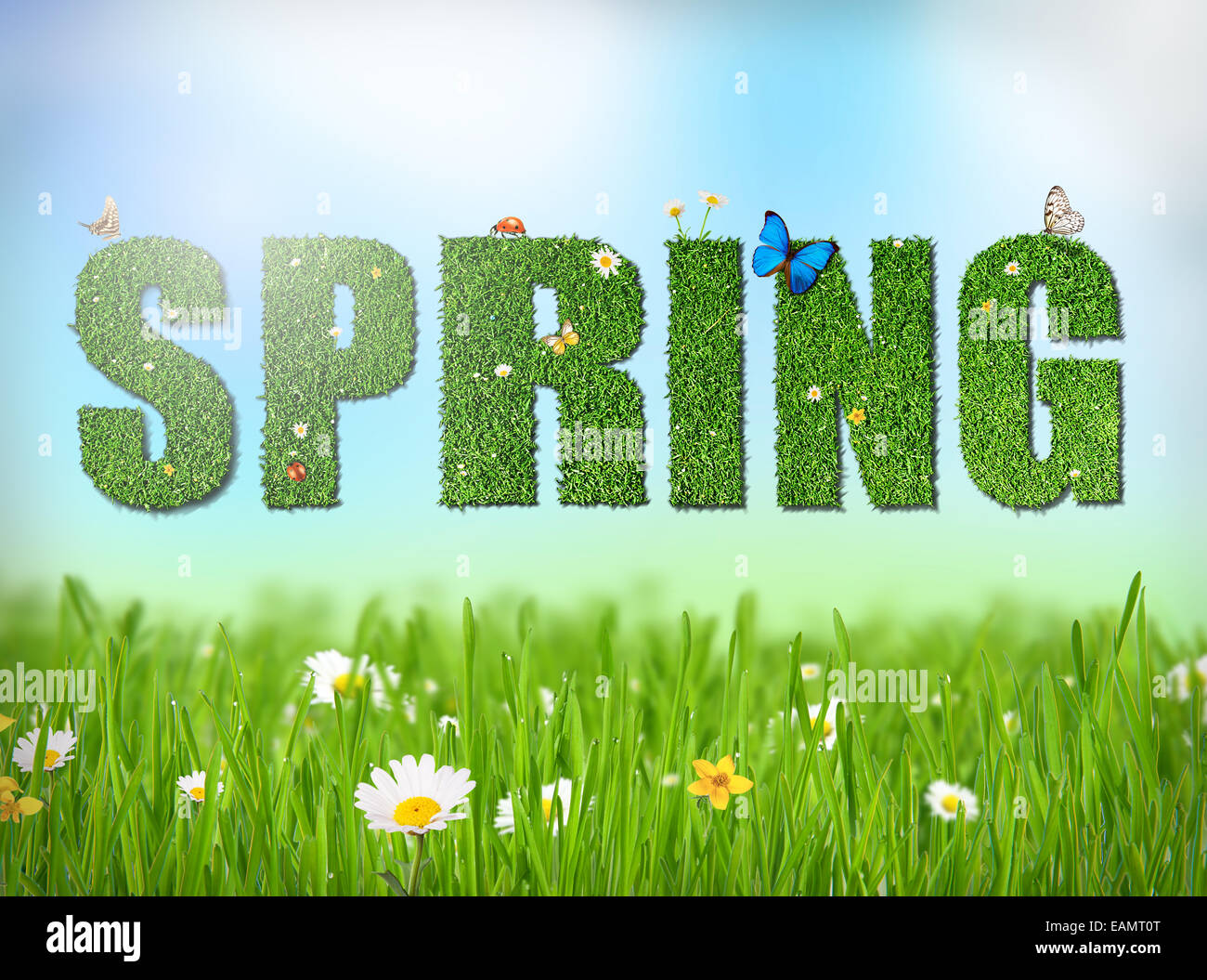 Spring concept of word "spring" and grass with flowers Stock Photo - Alamy