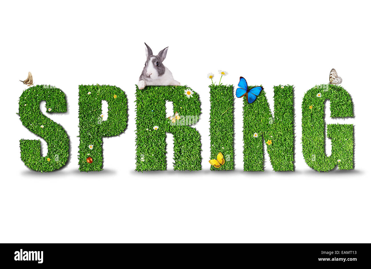 Spring concept of word "spring" with flowers,butterflies and rabbit ...