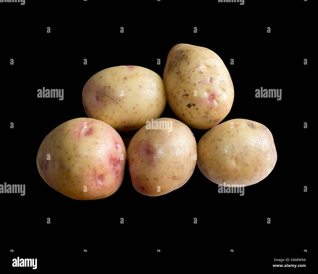 Five potatoes. Arrangement of five raw potatoes isolated on black Stock ...