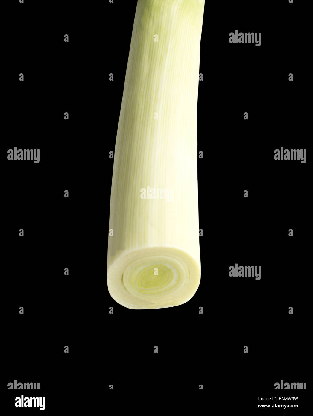 Capsicum cooking hi-res stock photography and images - Alamy