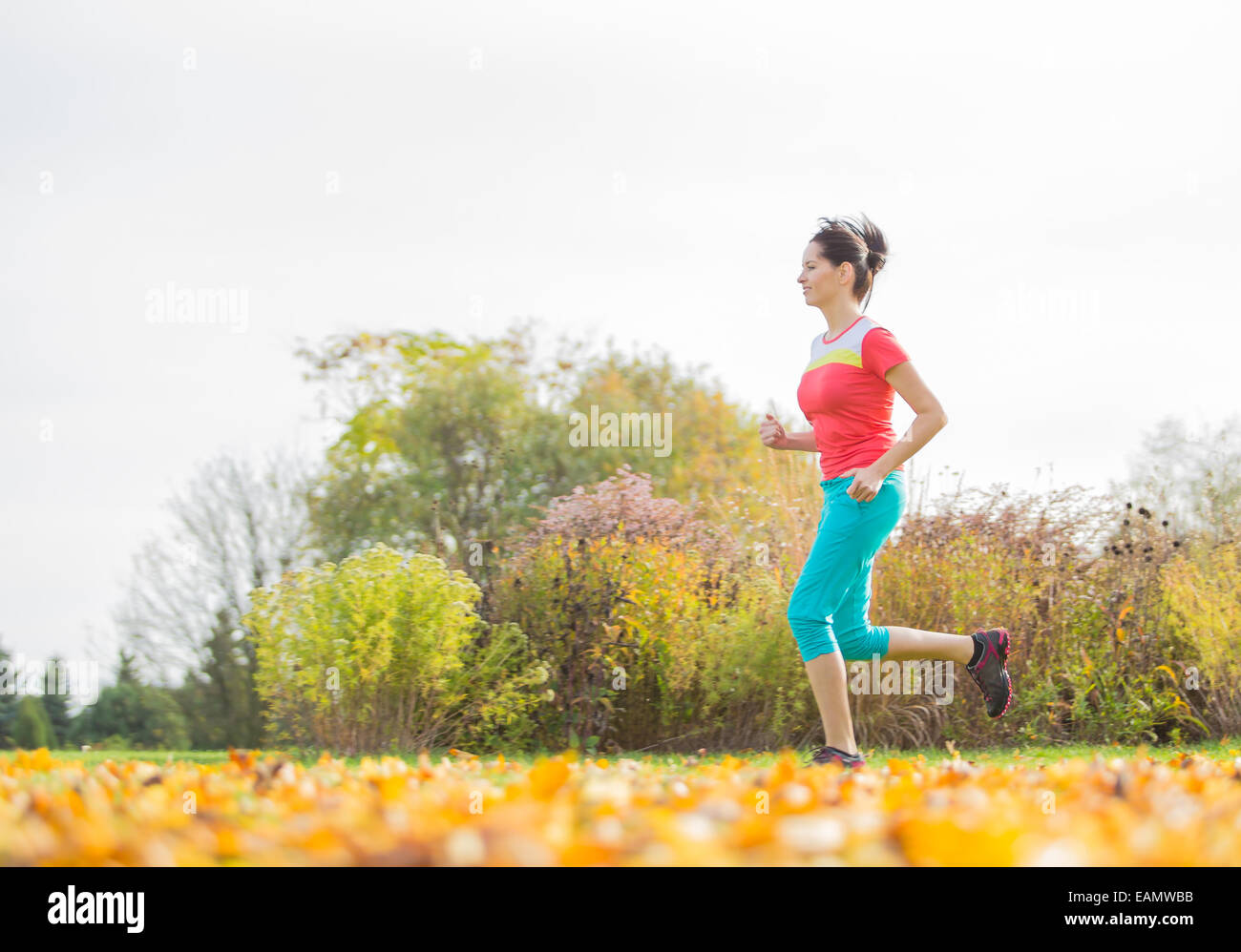 Young brunette woman running in autumn park Stock Photo - Alamy