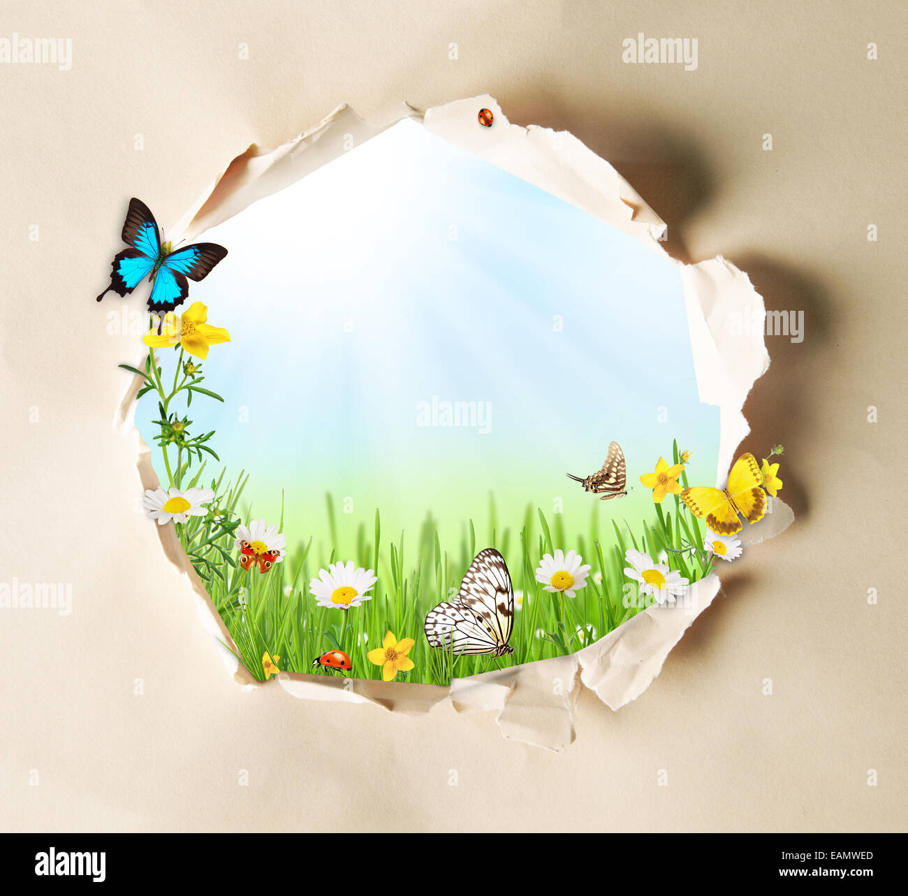 Spring conceptual hi-res stock photography and images - Alamy