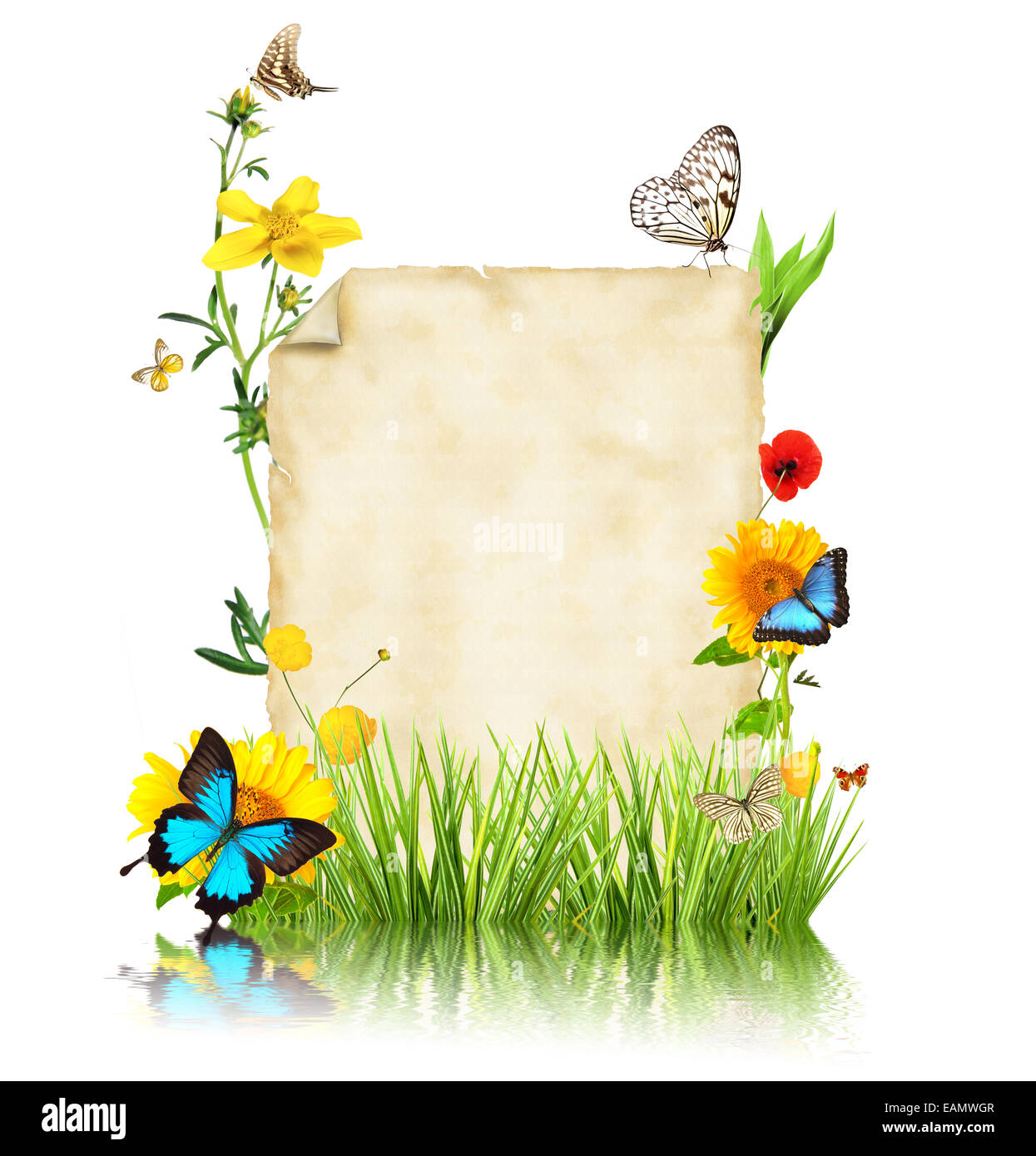Concept of spring with blank paper for text. isolated on white ...