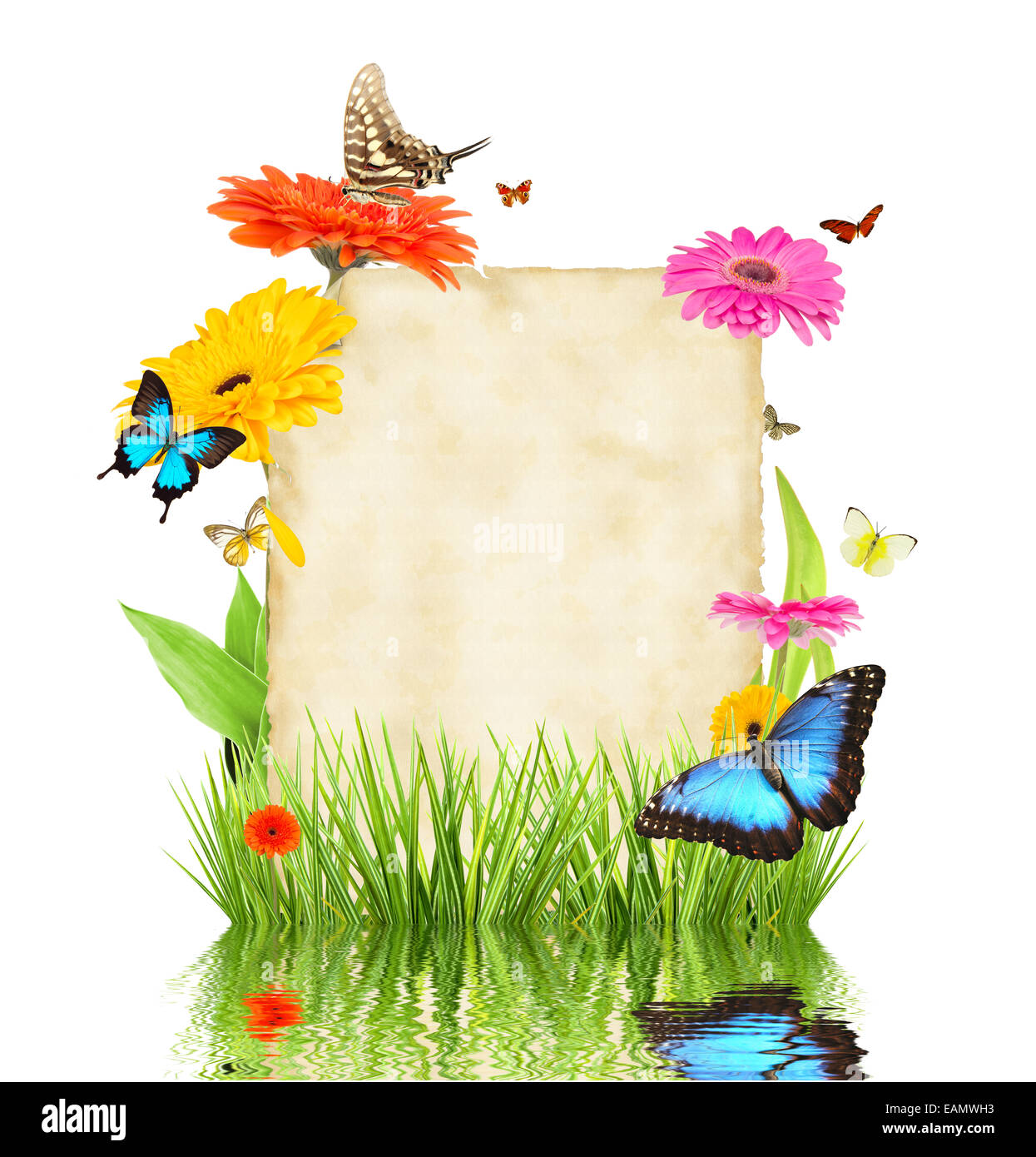 Concept of spring with blank paper for text. isolated on white ...