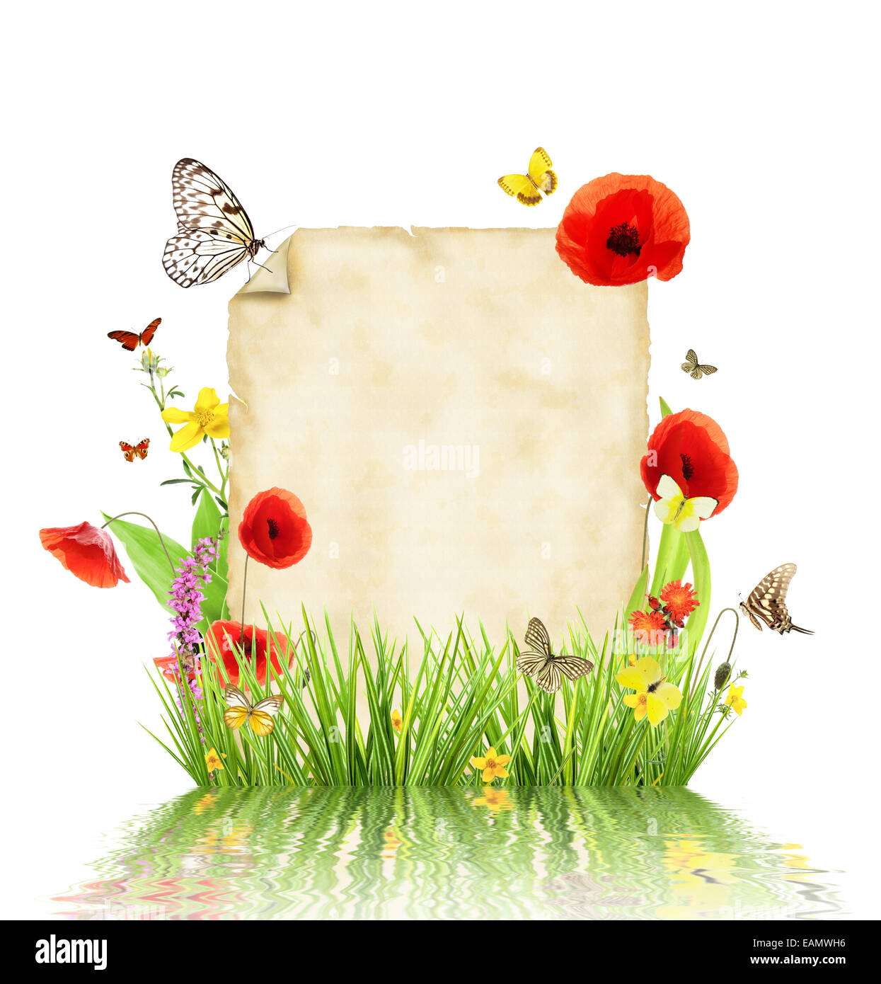 Concept of spring with blank paper for text. isolated on white ...
