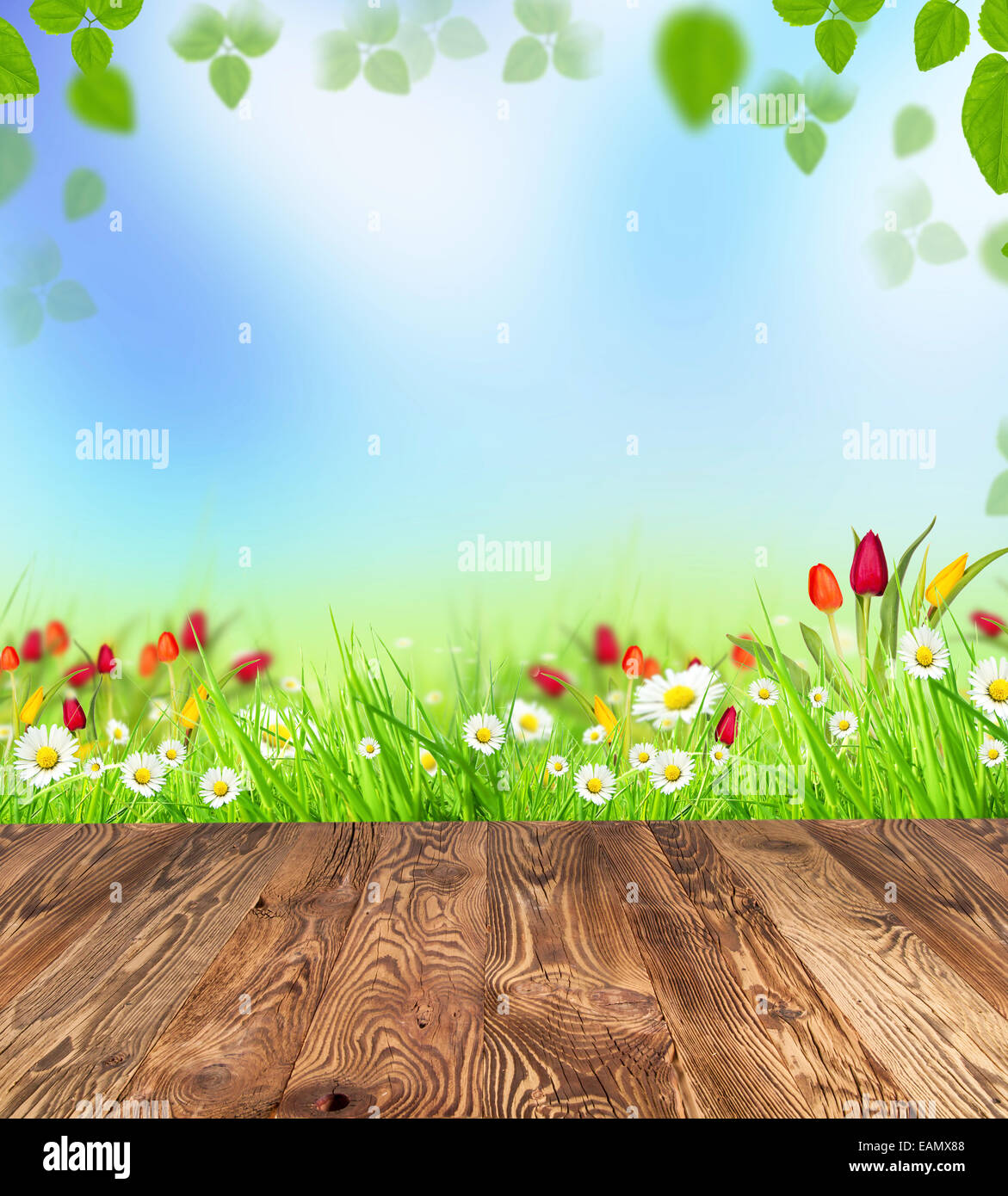 Wooden planks and grass background hi-res stock photography and images ...