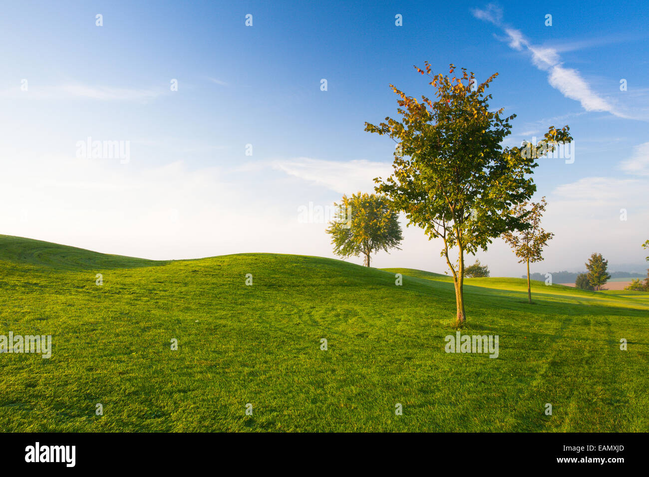 Misty morning on a empty golf course Stock Photo - Alamy