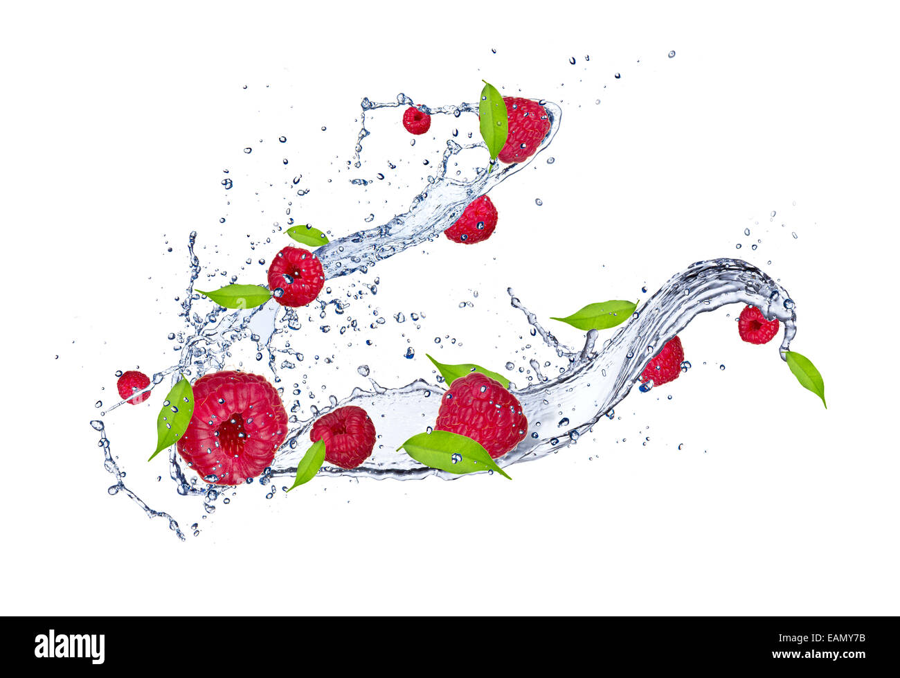 Fresh raspberries in water splash, isolated on white background Stock ...