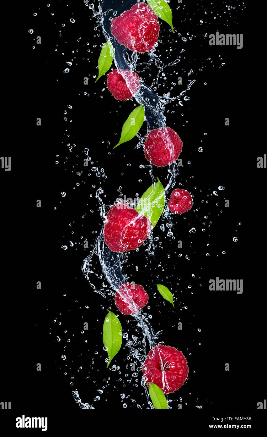 Raspberries in water splash, isolated on black background Stock Photo ...