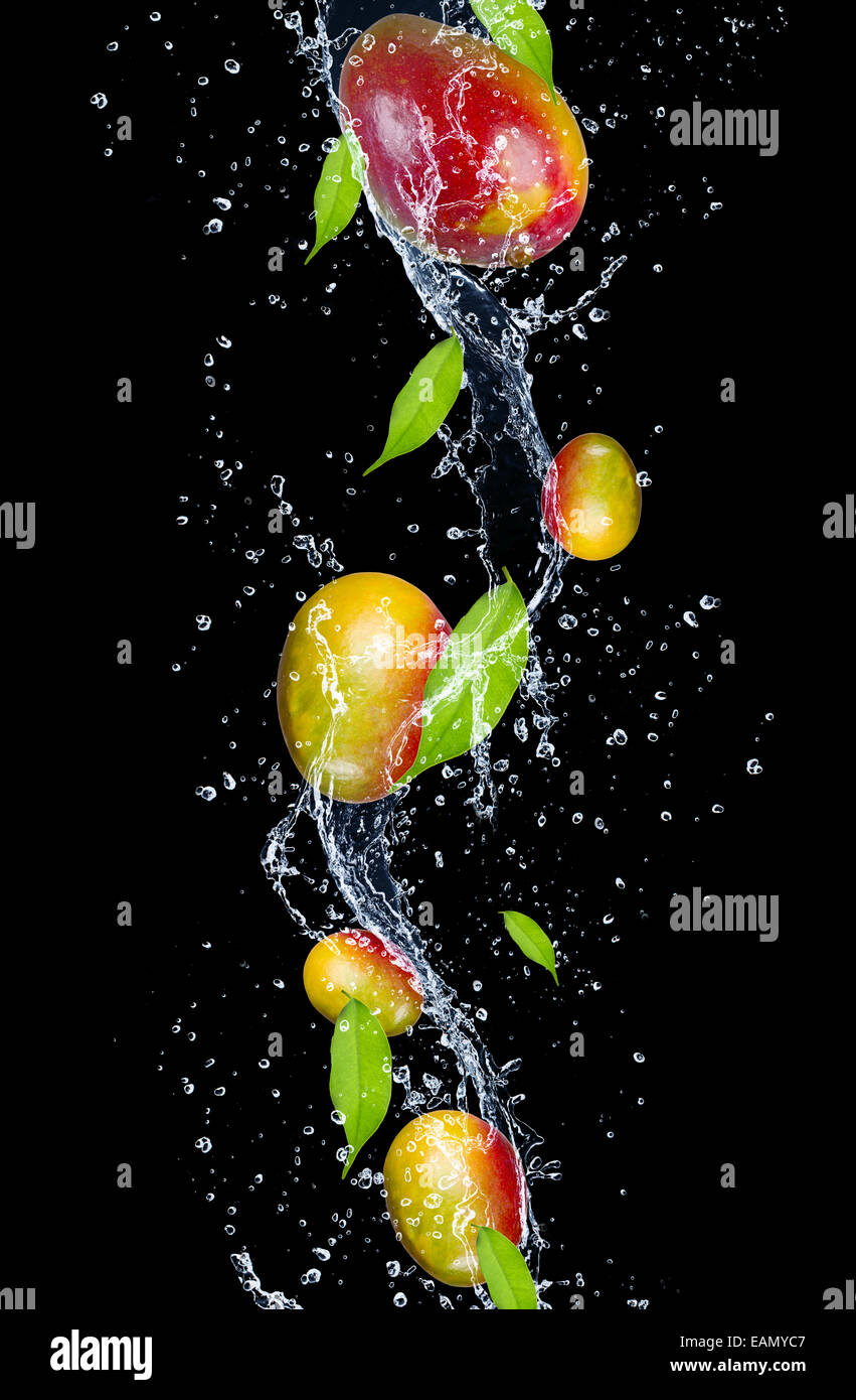 Mangoes in water splash, isolated on black background Stock Photo - Alamy