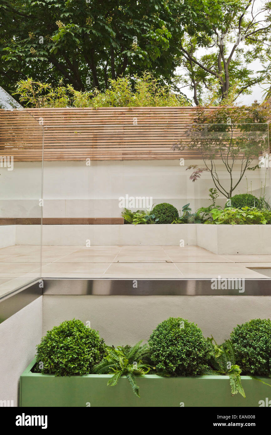 Town garden in London with paved patio area and Box shrubs in green ...