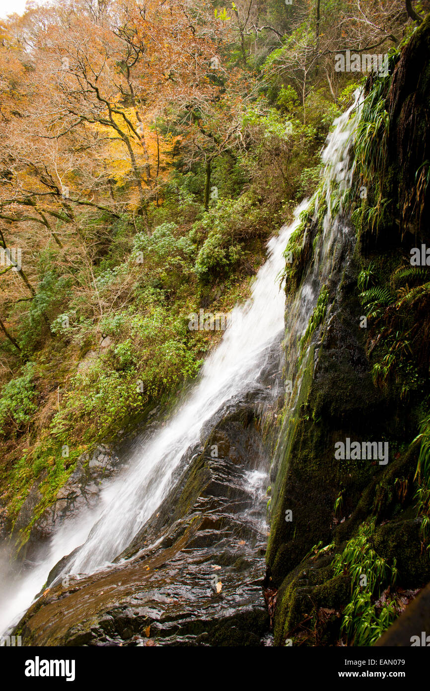 Devils bridge aberystwyth wales water hi-res stock photography and ...