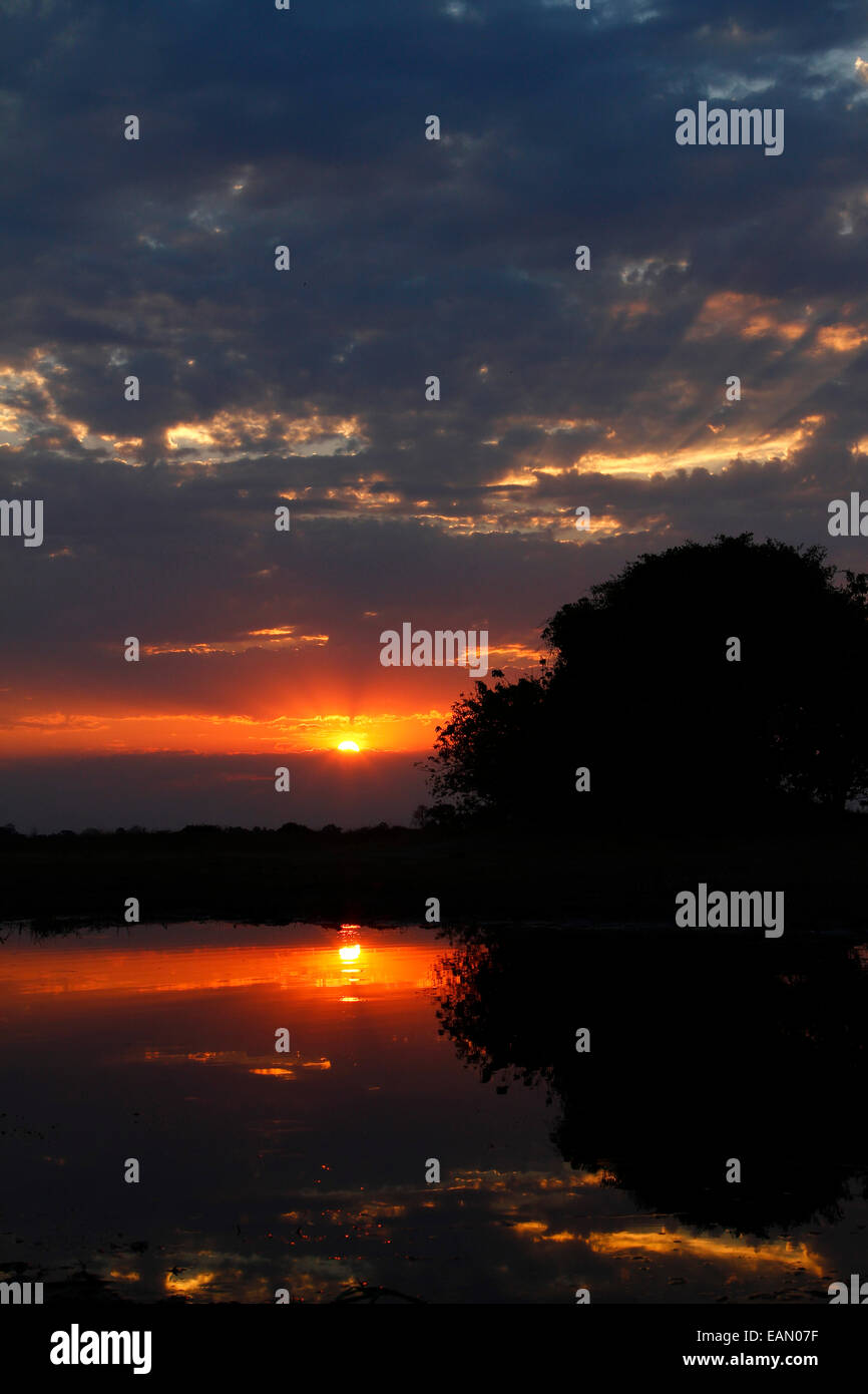 Safari sundowner stunning light display from the African sunset beaming ...