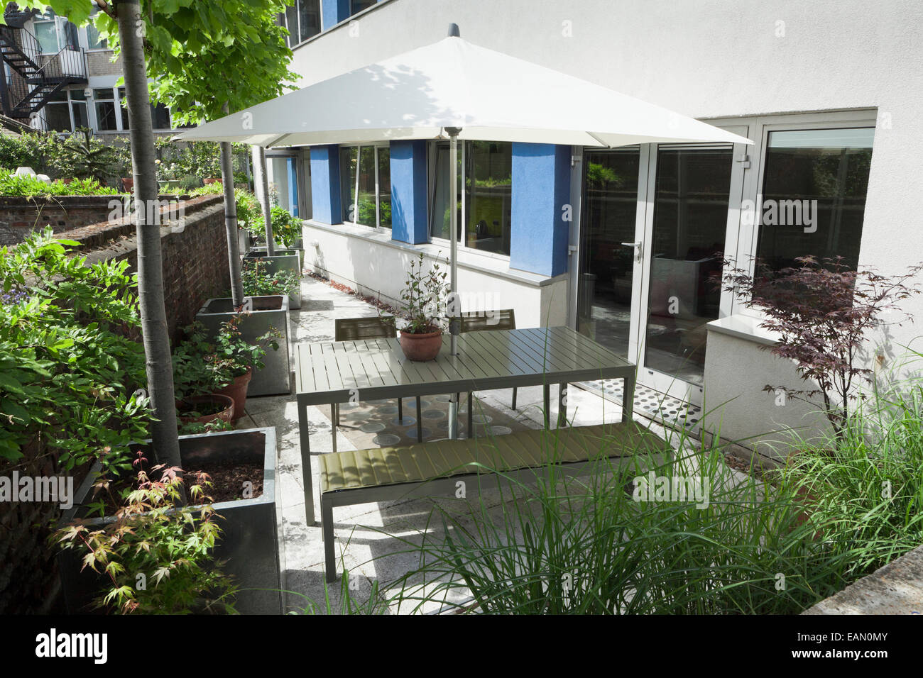 Japanese lime tree High Resolution Stock Photography and Images - Alamy