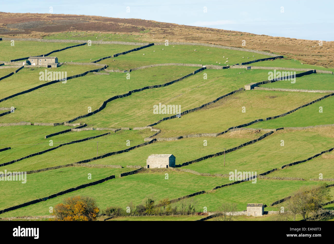 Field patterns above Reeth in Swaledale Stock Photo - Alamy