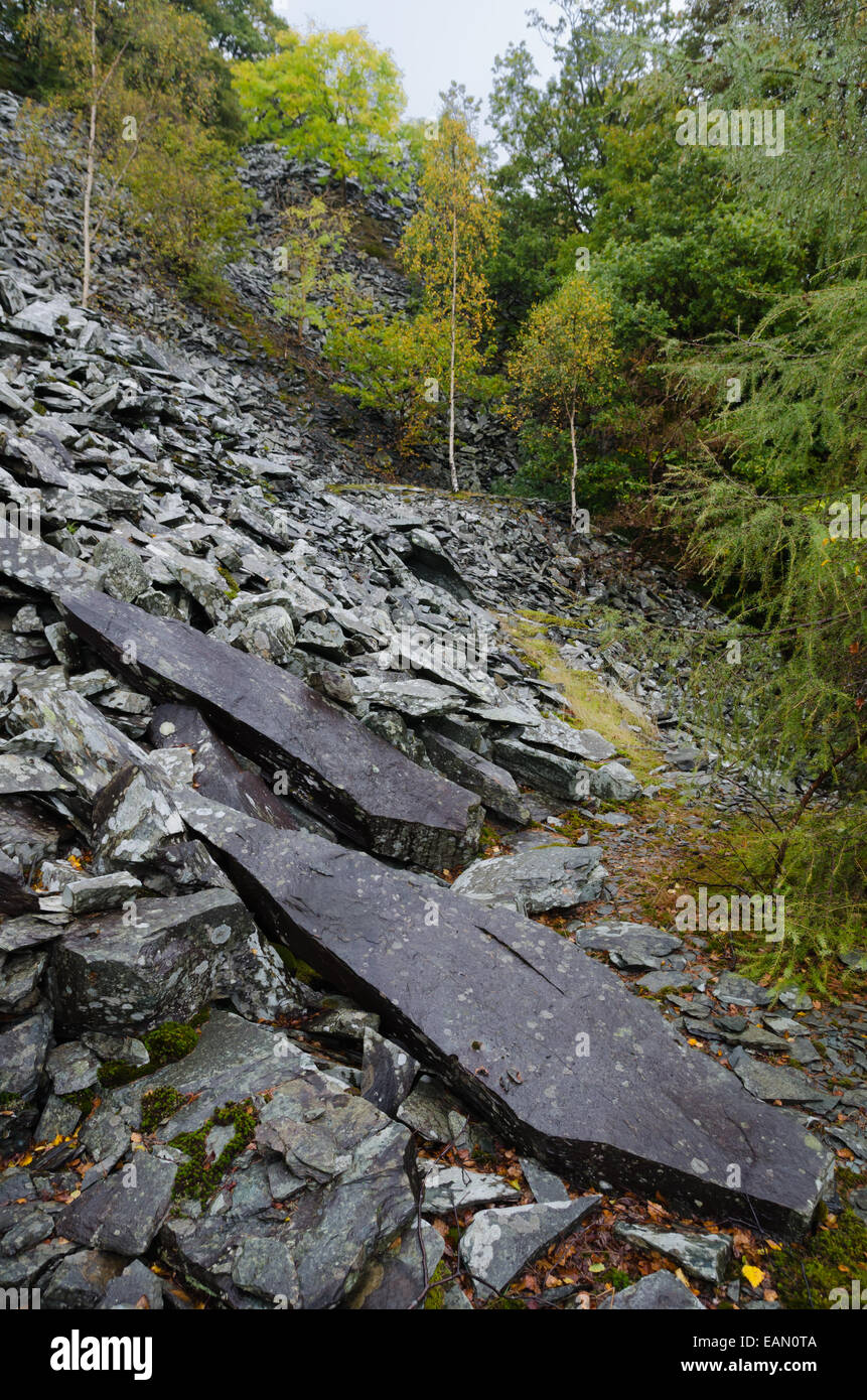 Hillside Slate and trees Stock Photo - Alamy