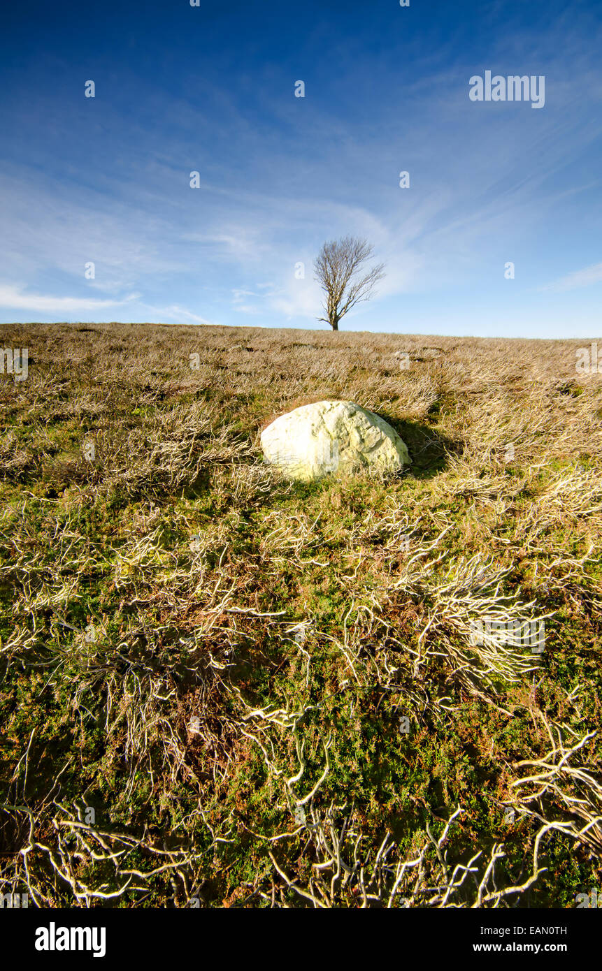 Moorland landscape rock tree hi-res stock photography and images - Alamy