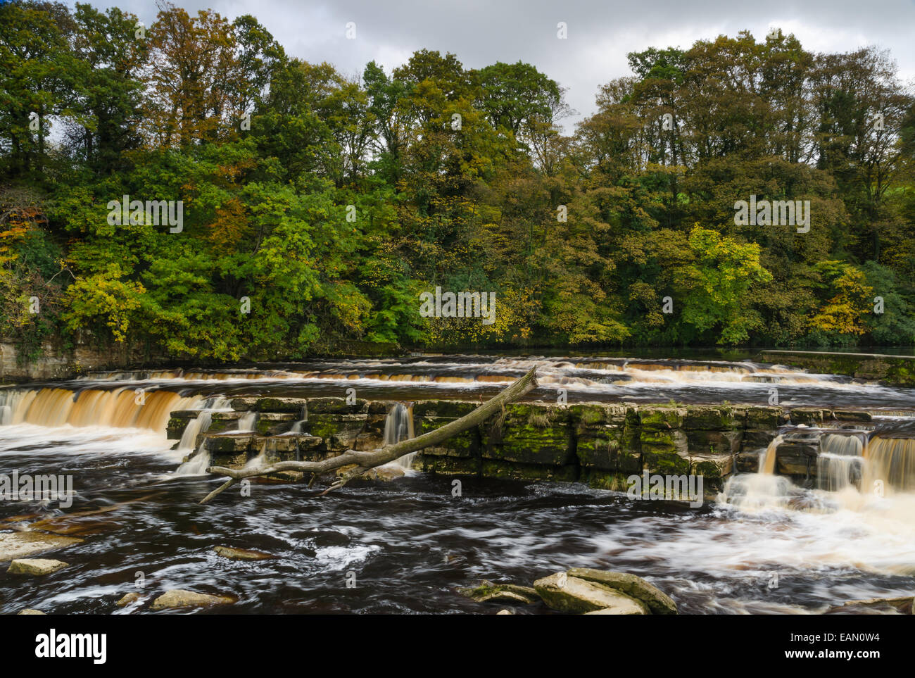 Richmond Waterfalls in North Yorkshire Stock Photo - Alamy