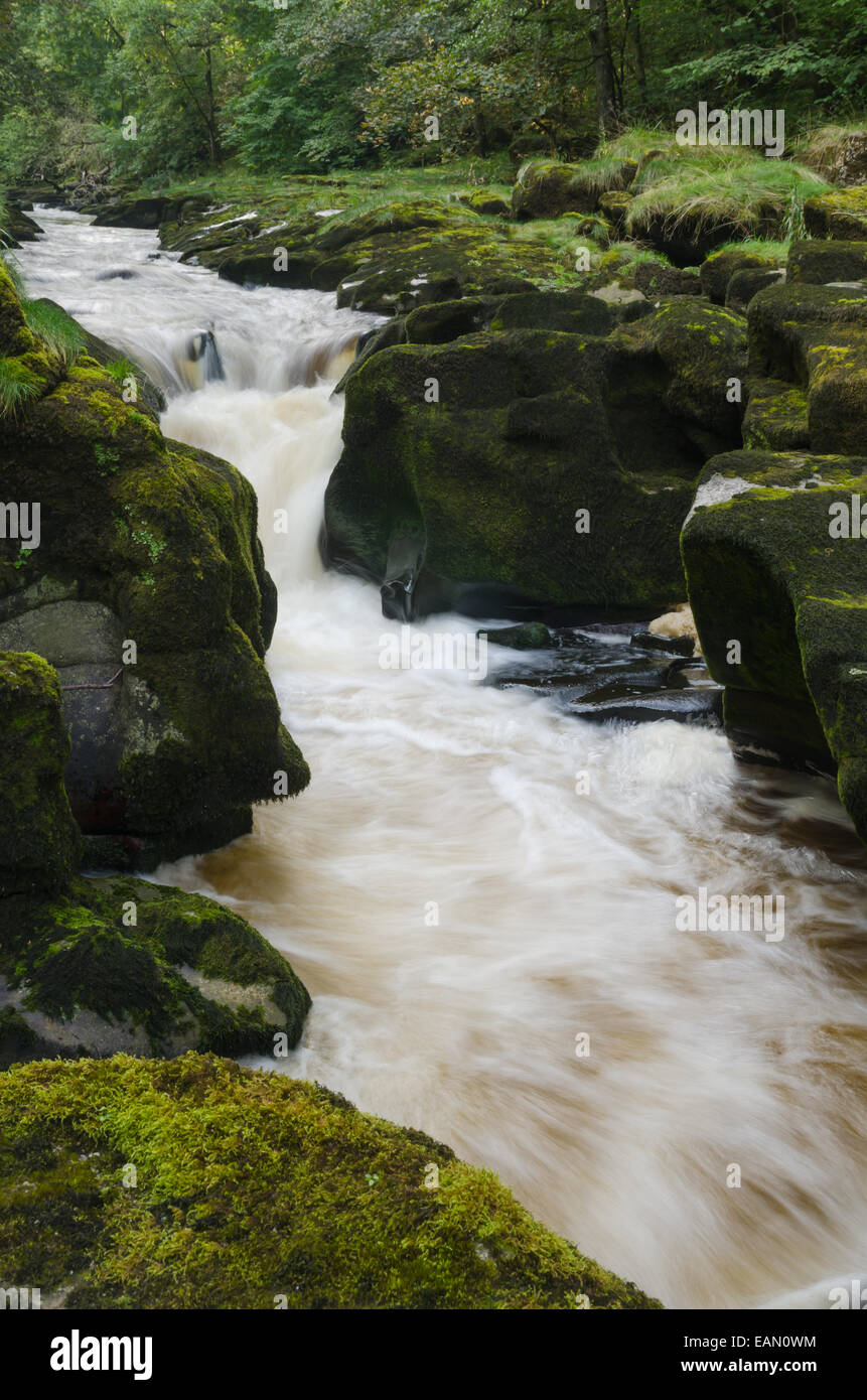The Strid in Wharfedale Stock Photo - Alamy