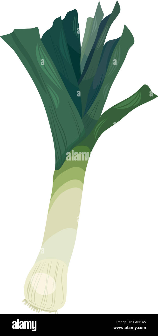 Cartoon Illustration of Leek Vegetable Food Object Stock Photo - Alamy