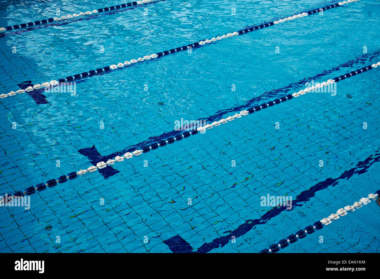 Empty olympic swimming pool hi-res stock photography and images - Alamy