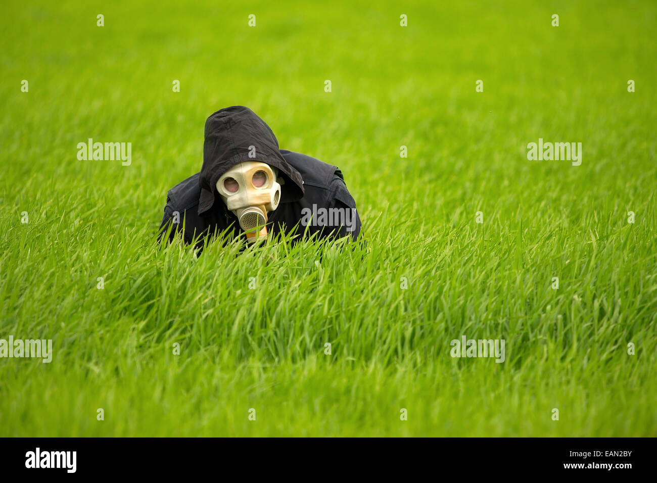Spring mask hi-res stock photography and images - Alamy