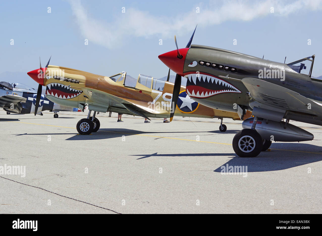 P-40 War hawk, vintage US WWII war bird airplane, take-off at 2014 ...