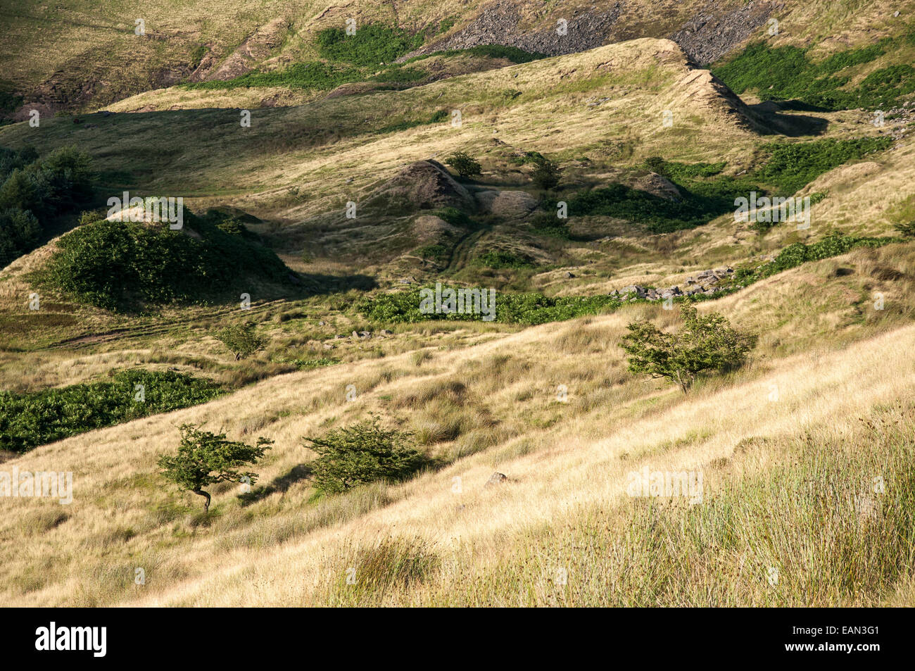 Landslip feture called the Mares Back below Coombes edge in ...