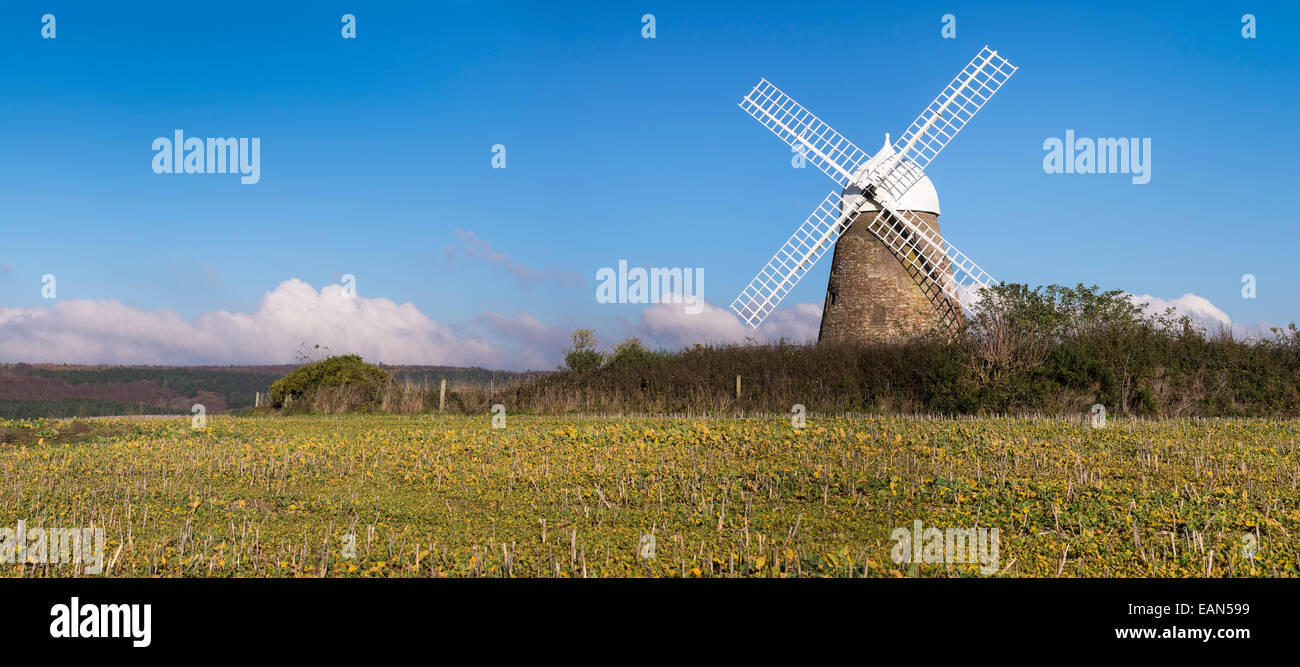 Halnaker park hi-res stock photography and images - Alamy